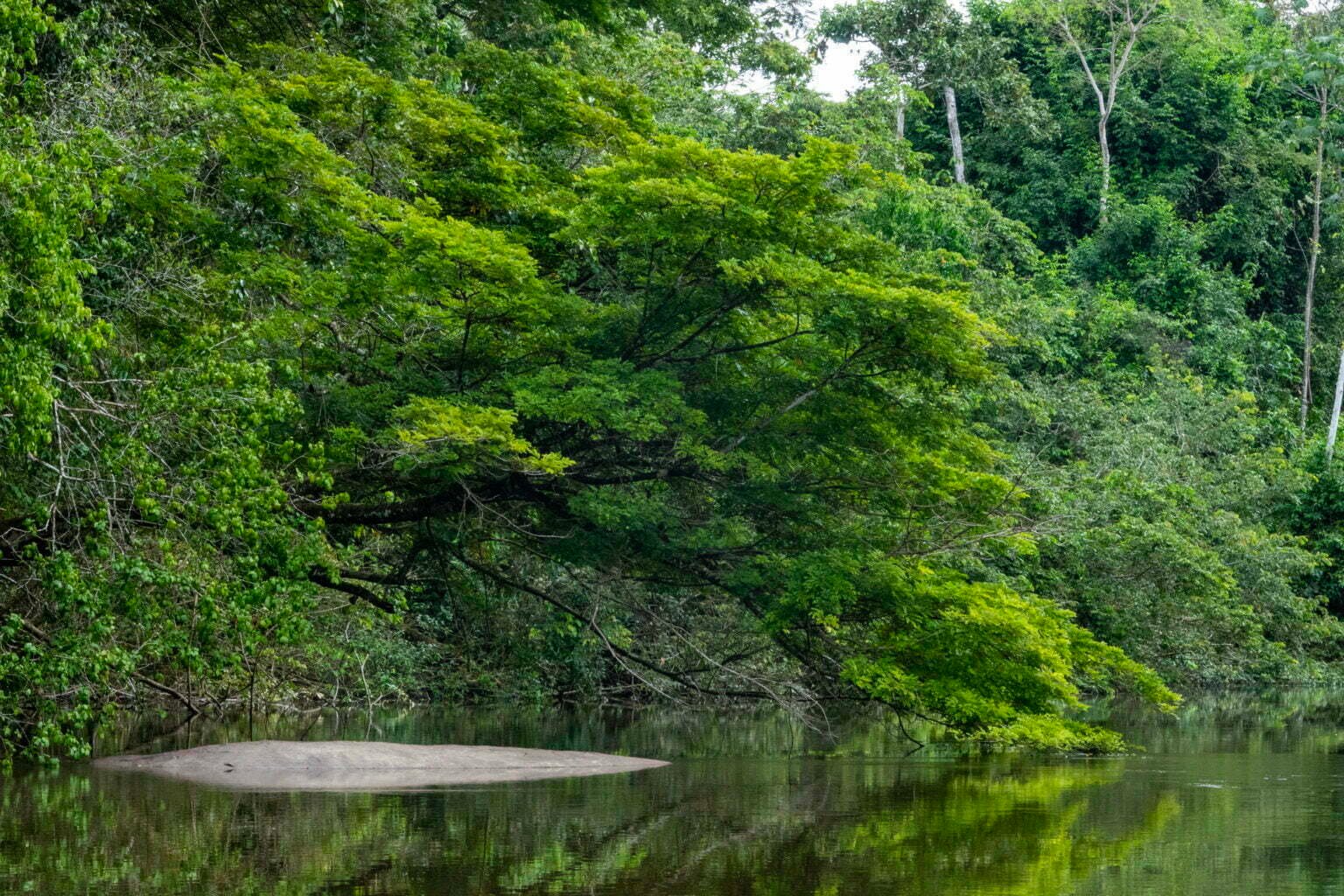 The Best Kayak Expedition in Suriname | Unlock Nature