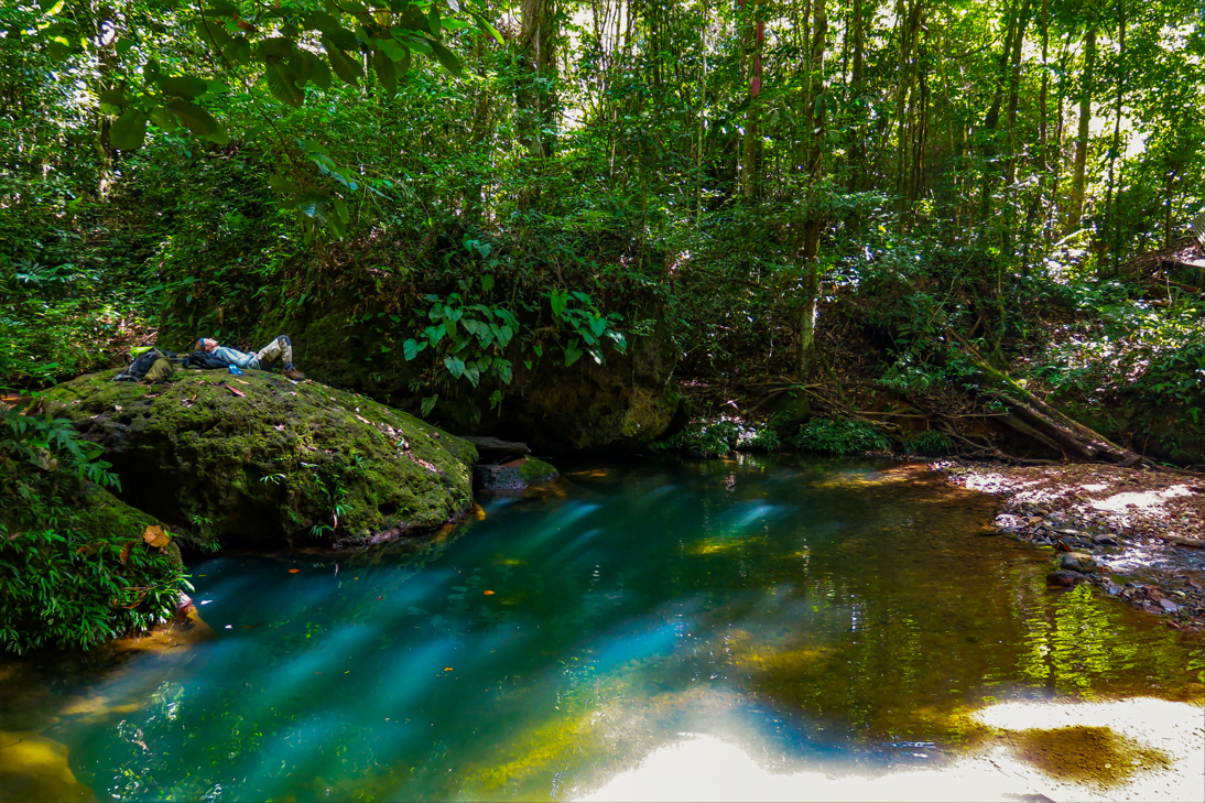 Brownsberg Nature Park offers a unique experience