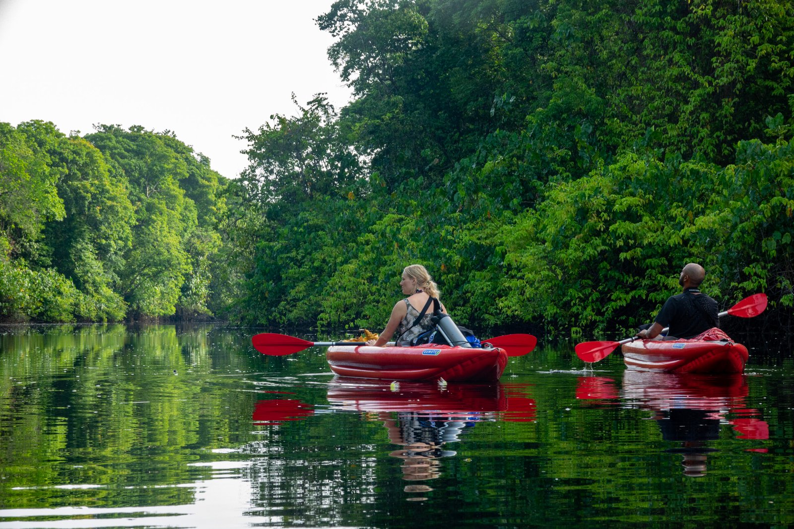 Explore Suriname by kayak, a unique life changing experience.